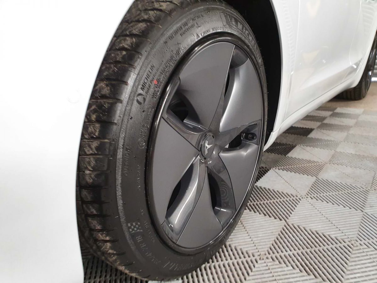 Alloy Gator – PP Protect