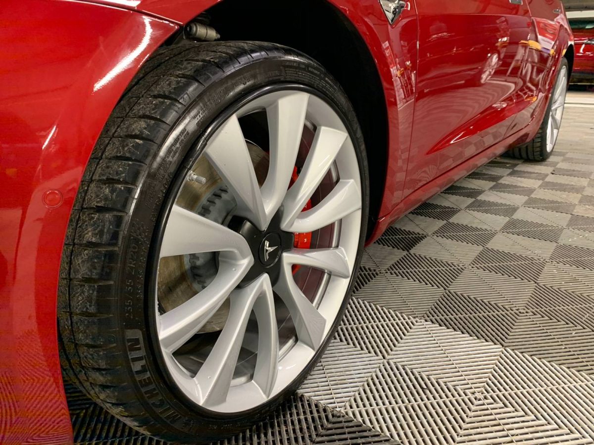 Alloy Gator – PP Protect